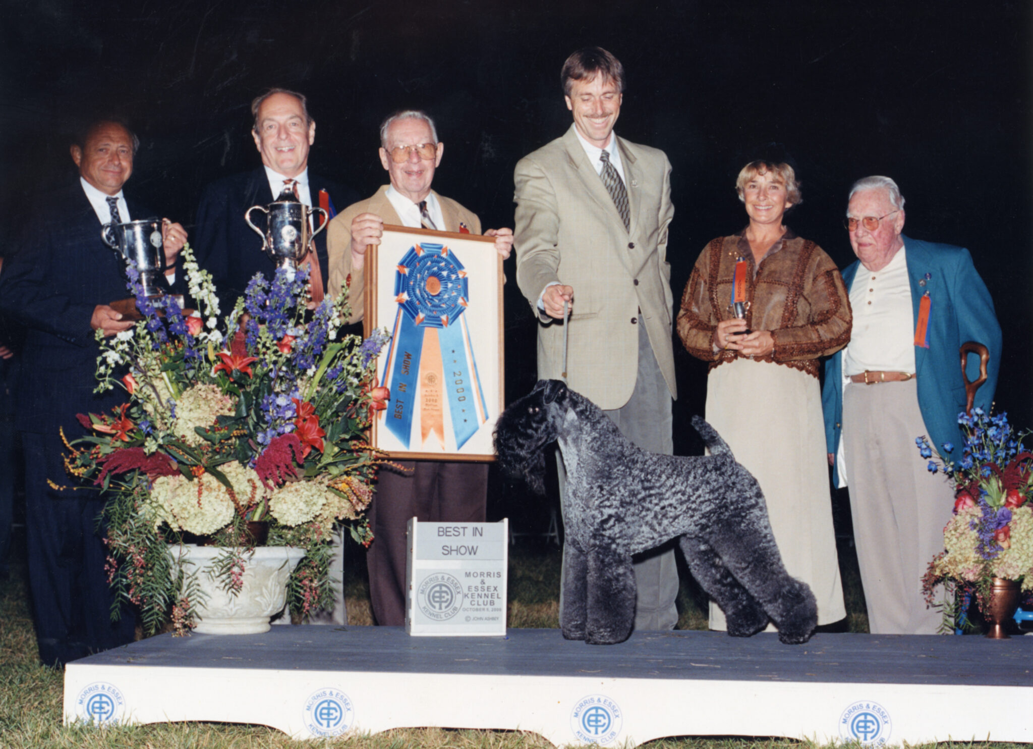 Best in Show | Morris & Essex Kennel Club Dog Show