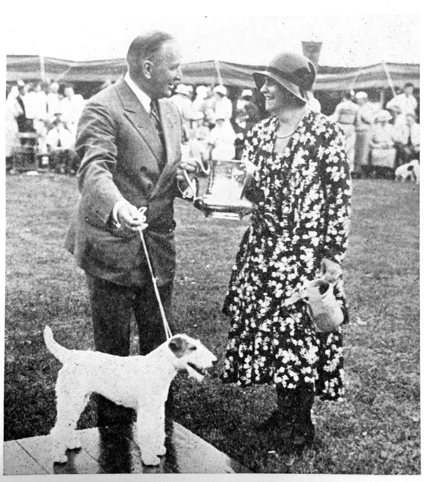 Best in Show | Morris & Essex Kennel Club Dog Show