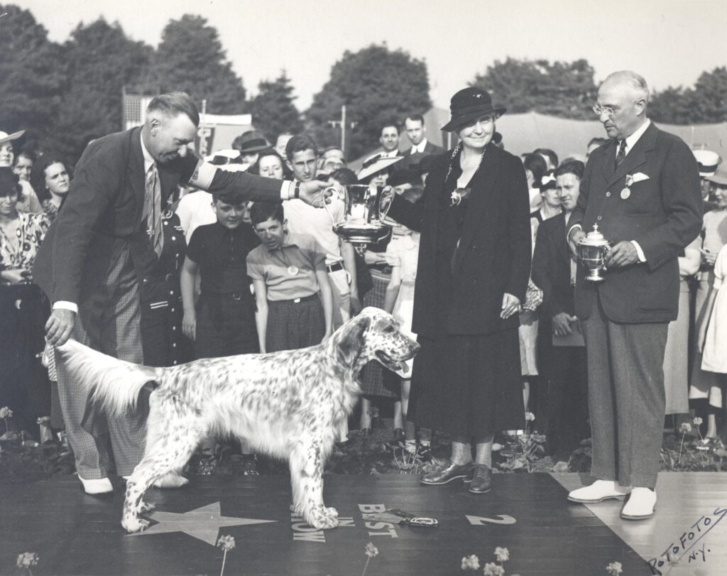 Best in Show | Morris & Essex Kennel Club Dog Show