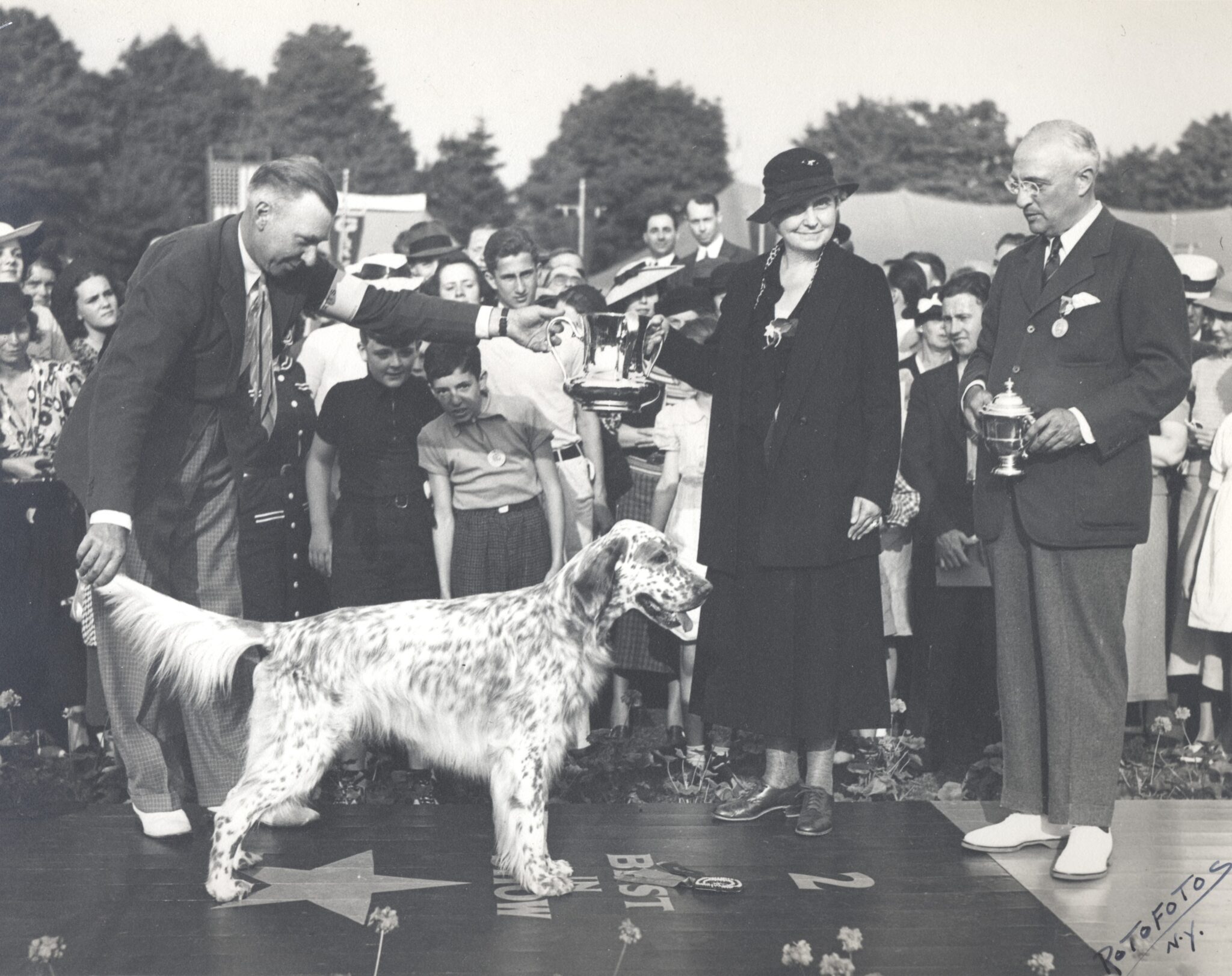 Best in Show | Morris & Essex Kennel Club Dog Show