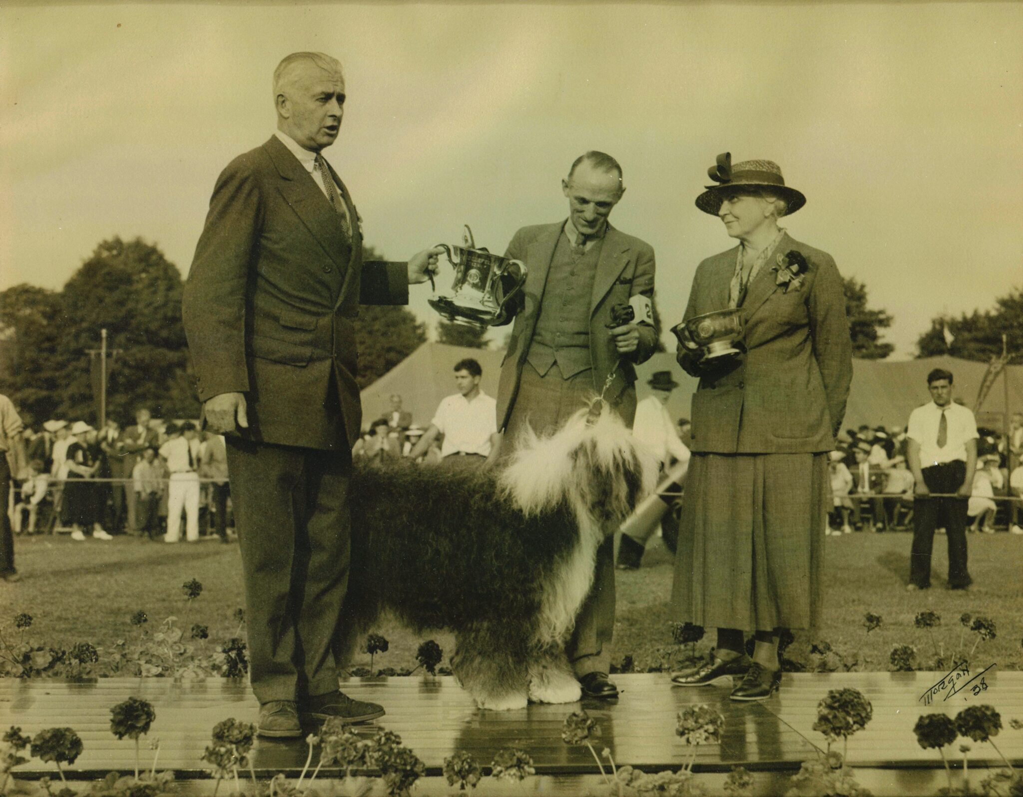 Best in Show | Morris & Essex Kennel Club Dog Show