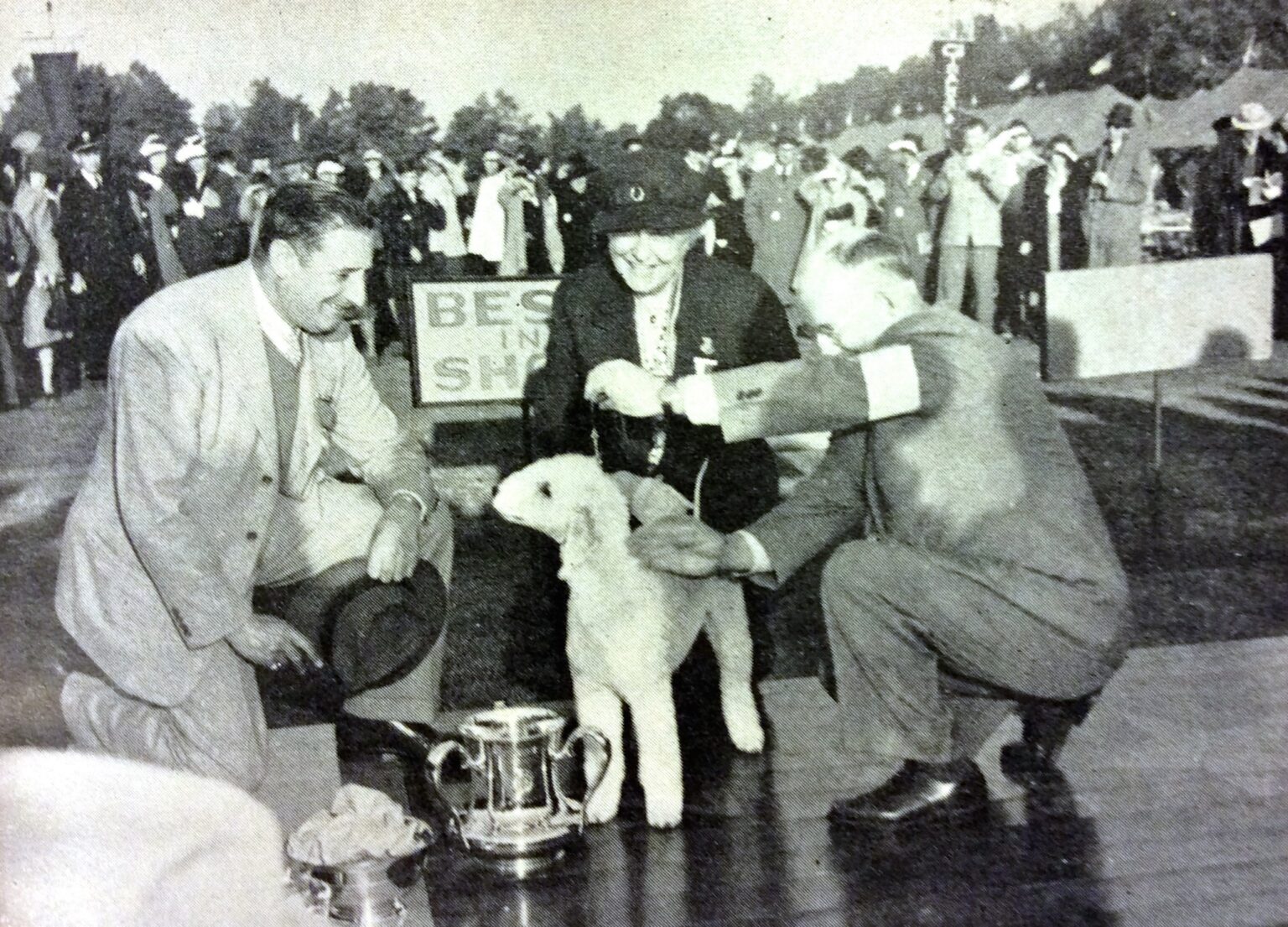 Best in Show | Morris & Essex Kennel Club Dog Show