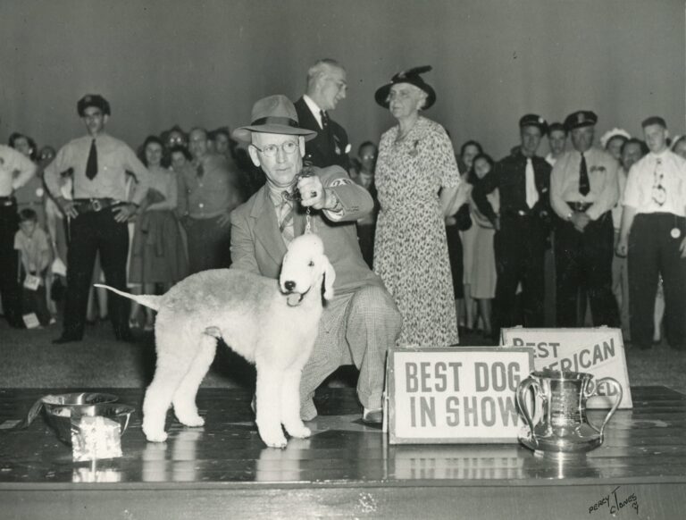 Best in Show | Morris & Essex Kennel Club Dog Show