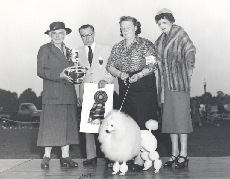 Best in Show | Morris & Essex Kennel Club Dog Show