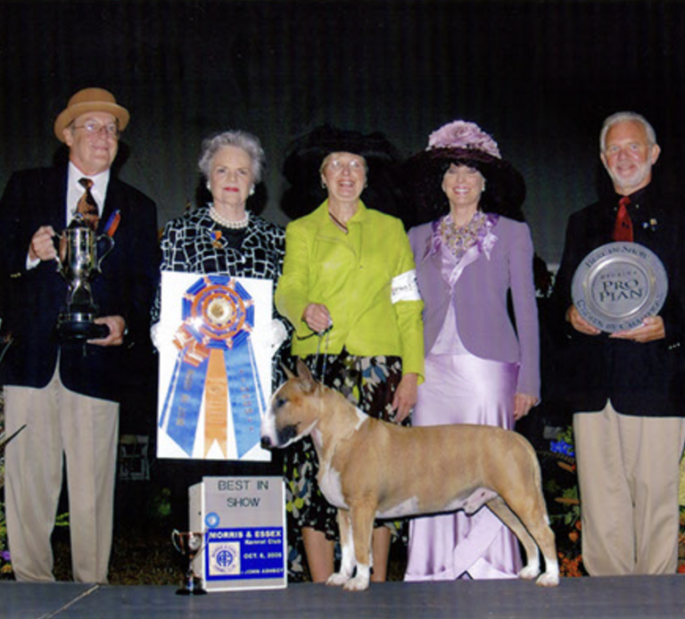 Best in Show | Morris & Essex Kennel Club Dog Show
